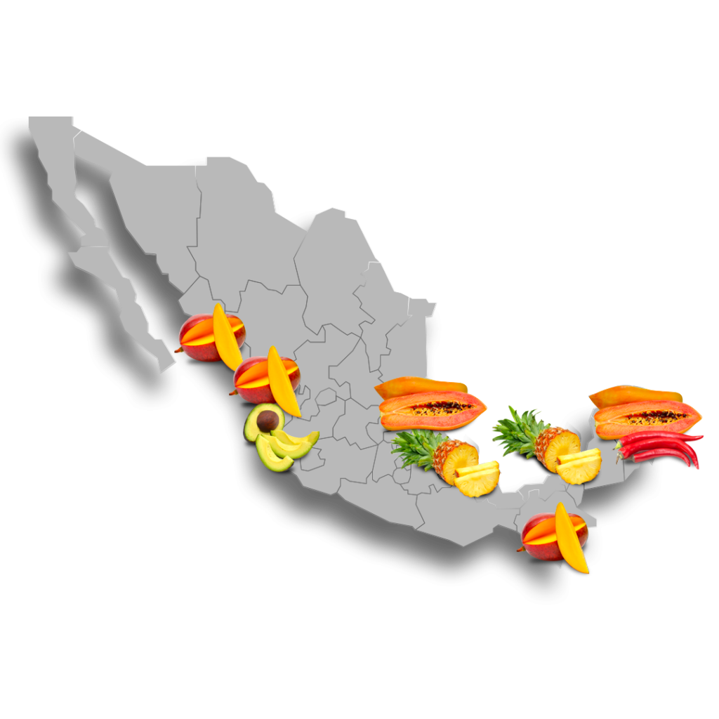 Aztec Fruits